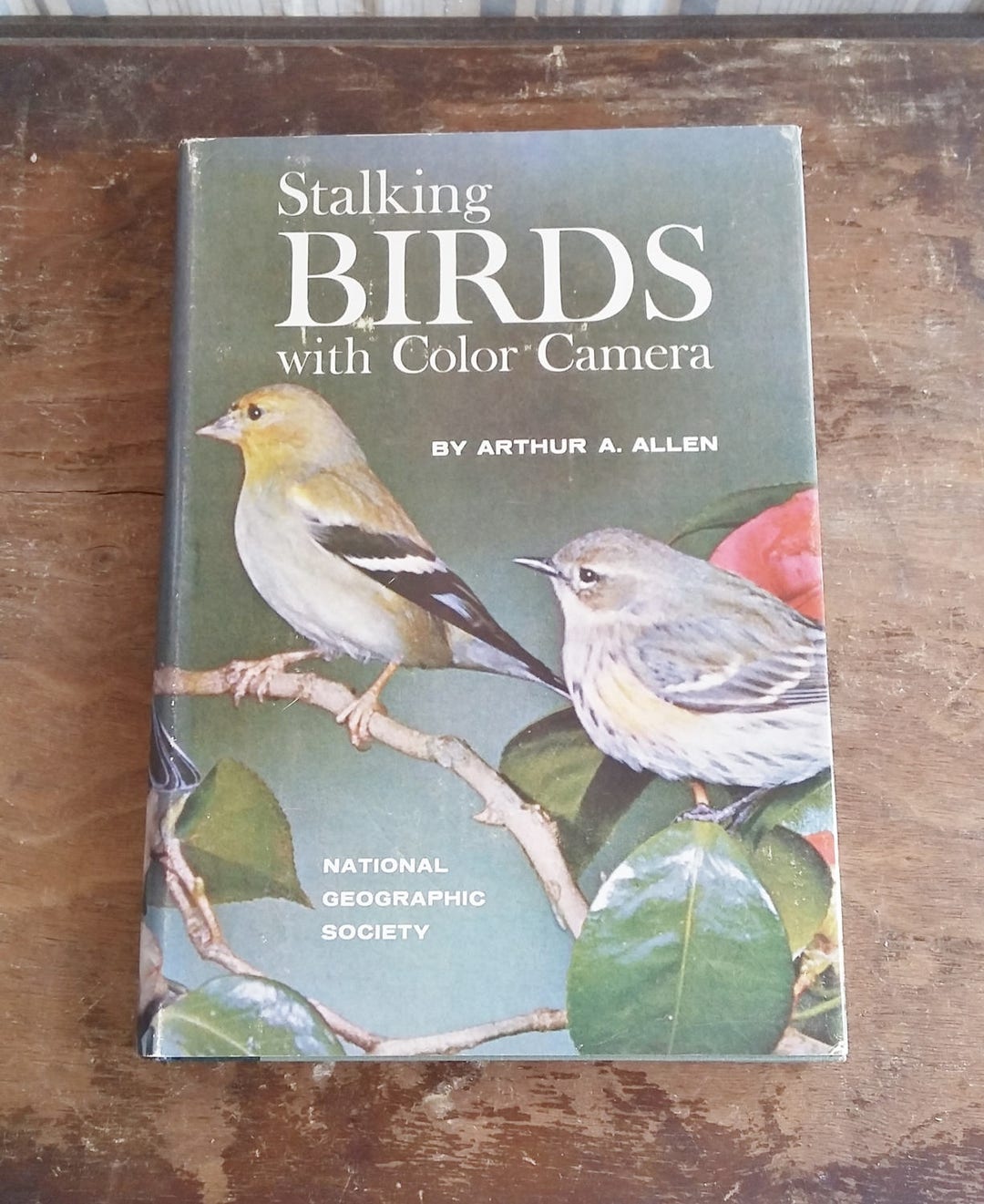 Vintage 'stalking Birds' Book: 1961 National Geographic Color Photos - Etsy