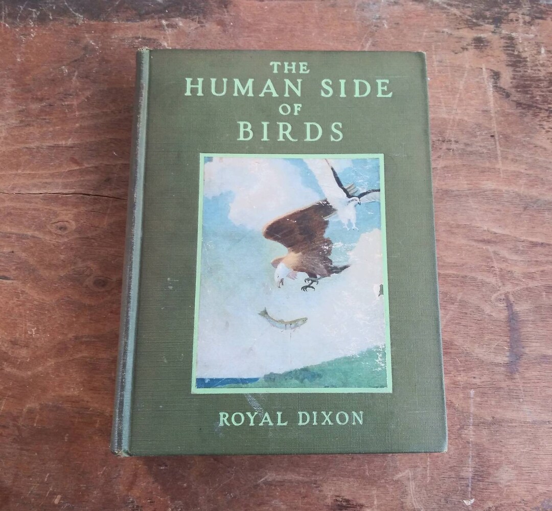 Antique Bird Book: the Human Side of Birds by Royal Dixon, 1917 - Etsy