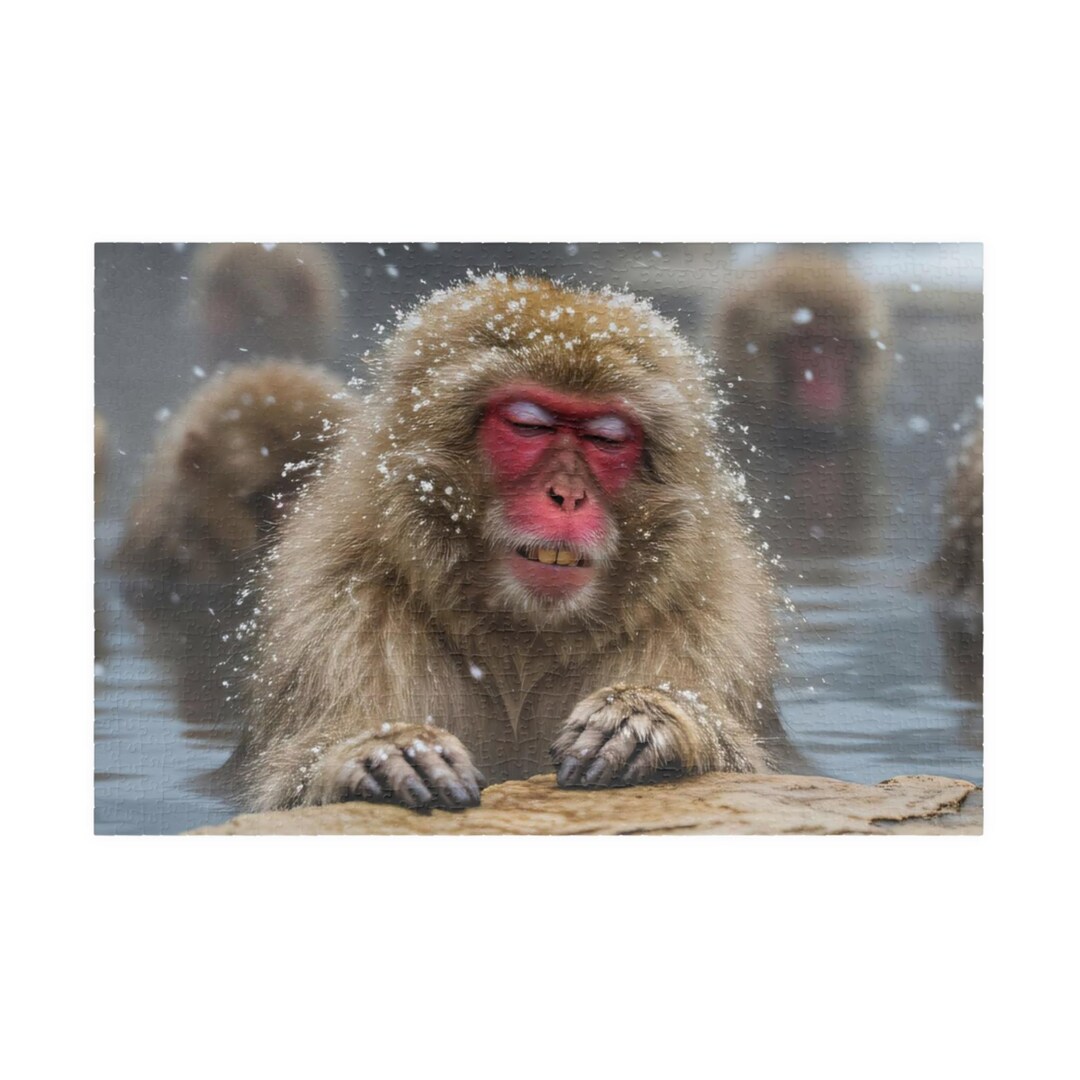 Japanese Snow Monkeys in Hot Spring Puzzle Funny and Relaxing Wild ...