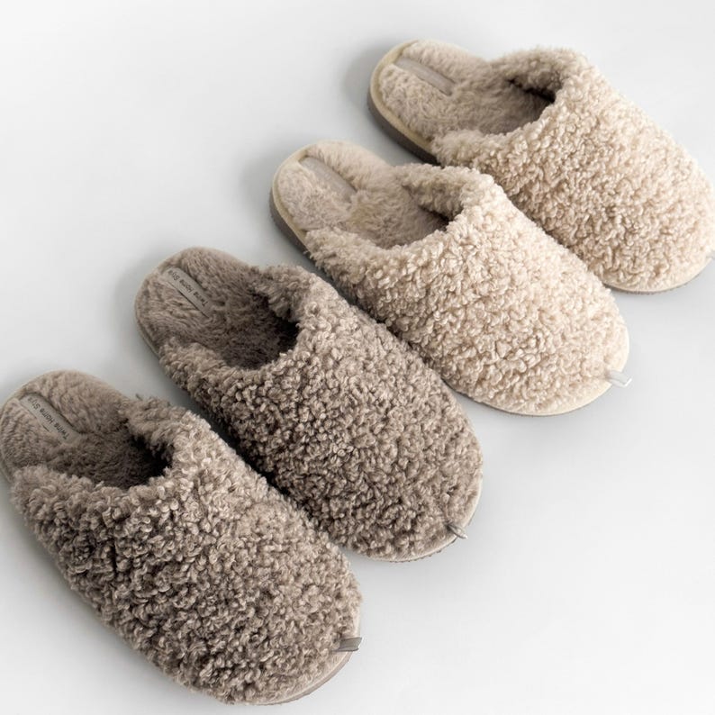 Fuzzy Teddy House Slippers: Warm Indoor Shoes for Women's Cozy Homewear ...