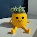 Happy Pot – Smiley Face Planter - Etsy