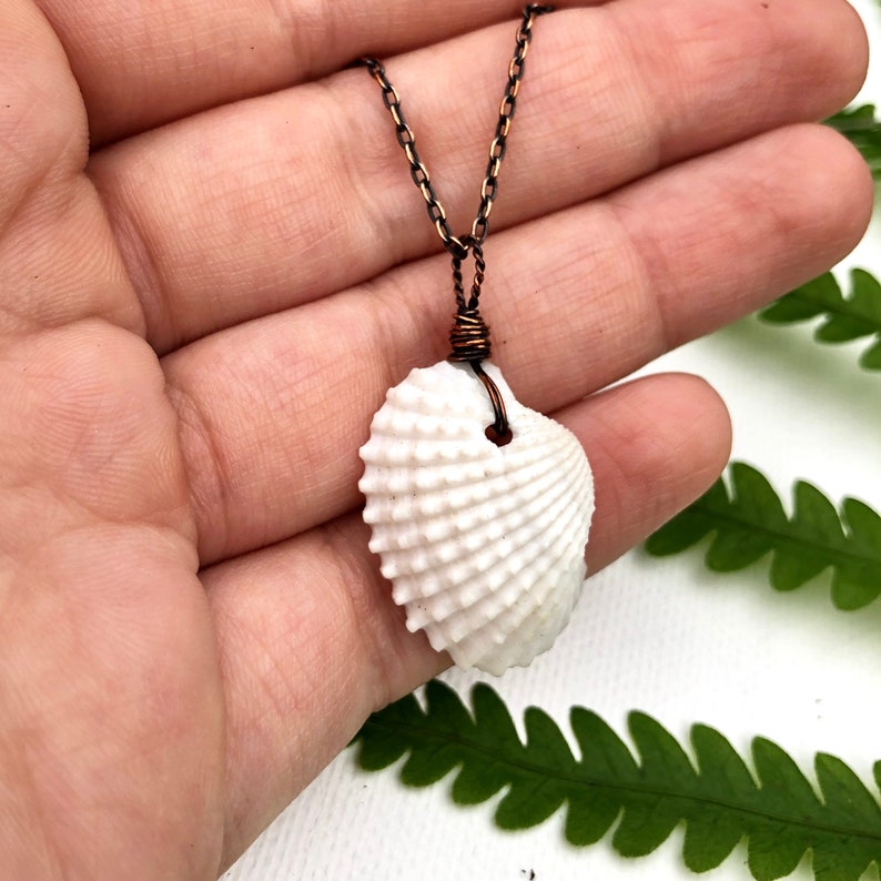 Simple White Sea Shell Necklace With Antiqued Copper Finishes - Etsy