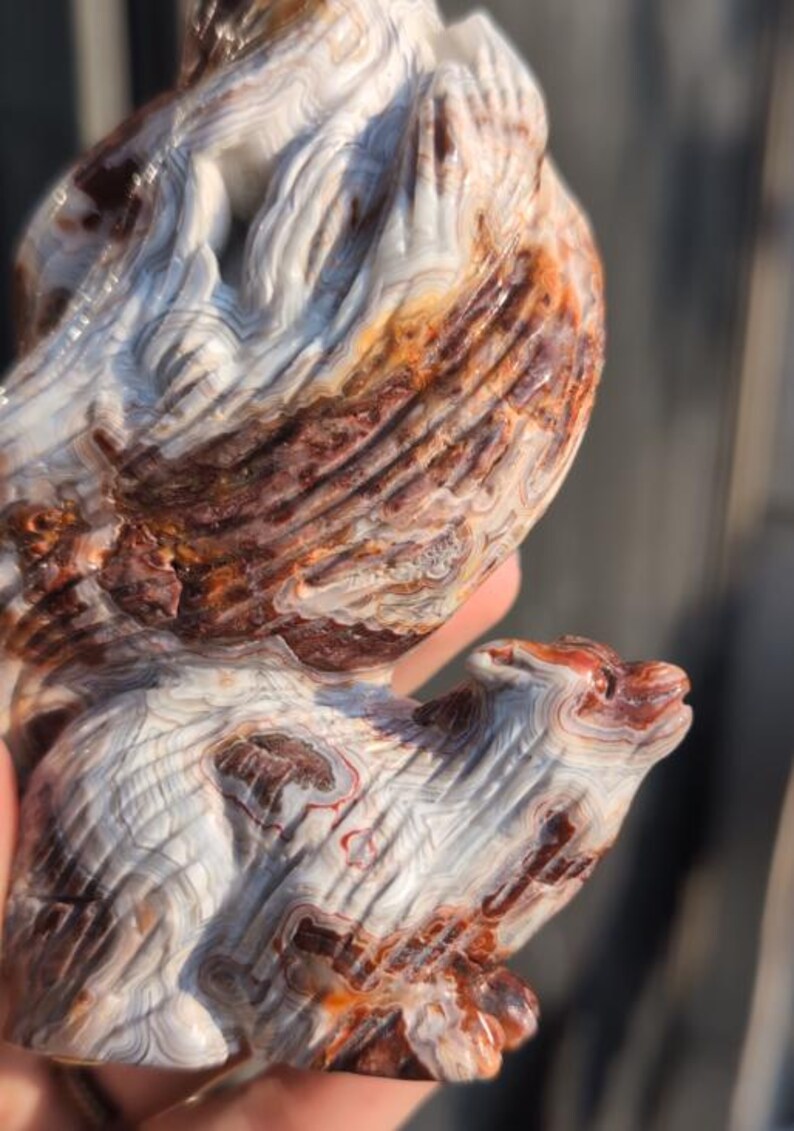 Mexican Crazy Lace Agate Druzy Squirrel | Crystal Animal Carving ...