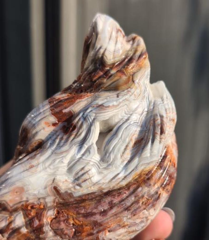 Mexican Crazy Lace Agate Druzy Squirrel | Crystal Animal Carving ...