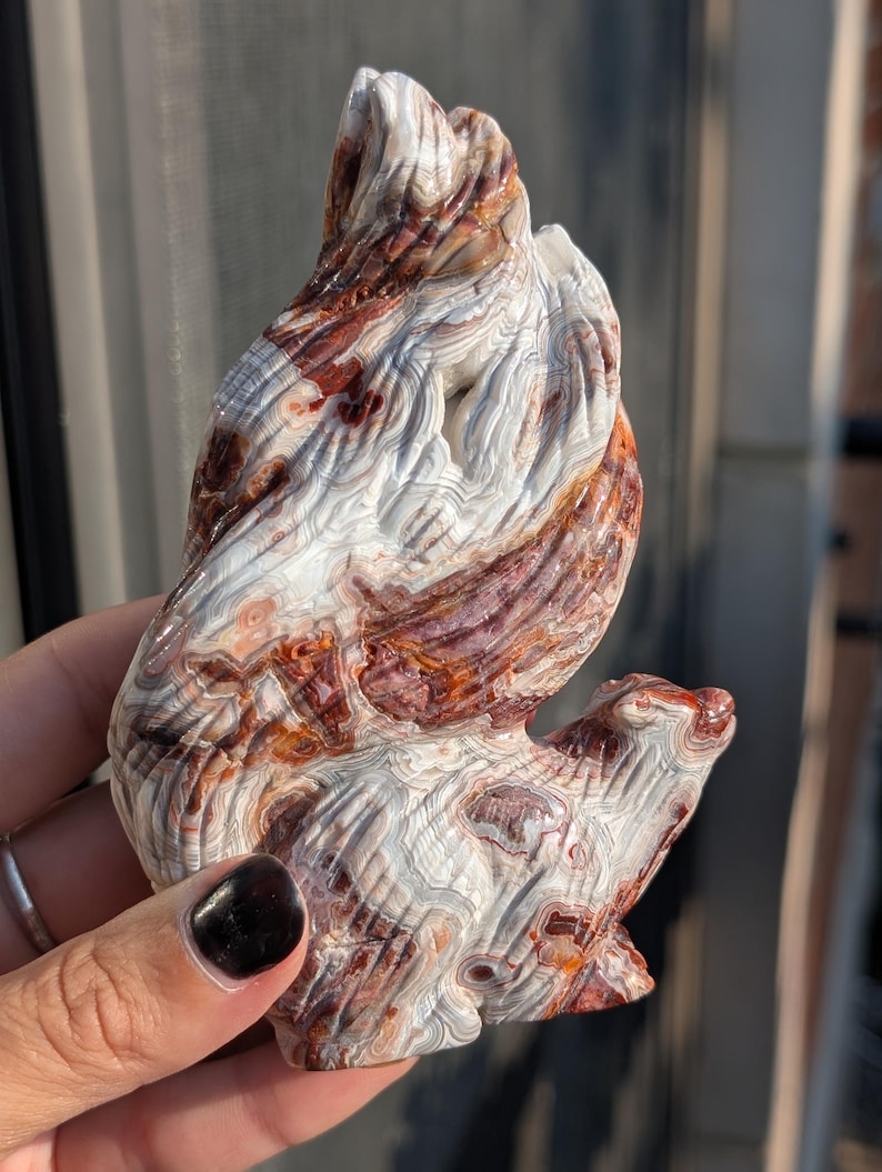 Mexican Crazy Lace Agate Druzy Squirrel | Crystal Animal Carving ...