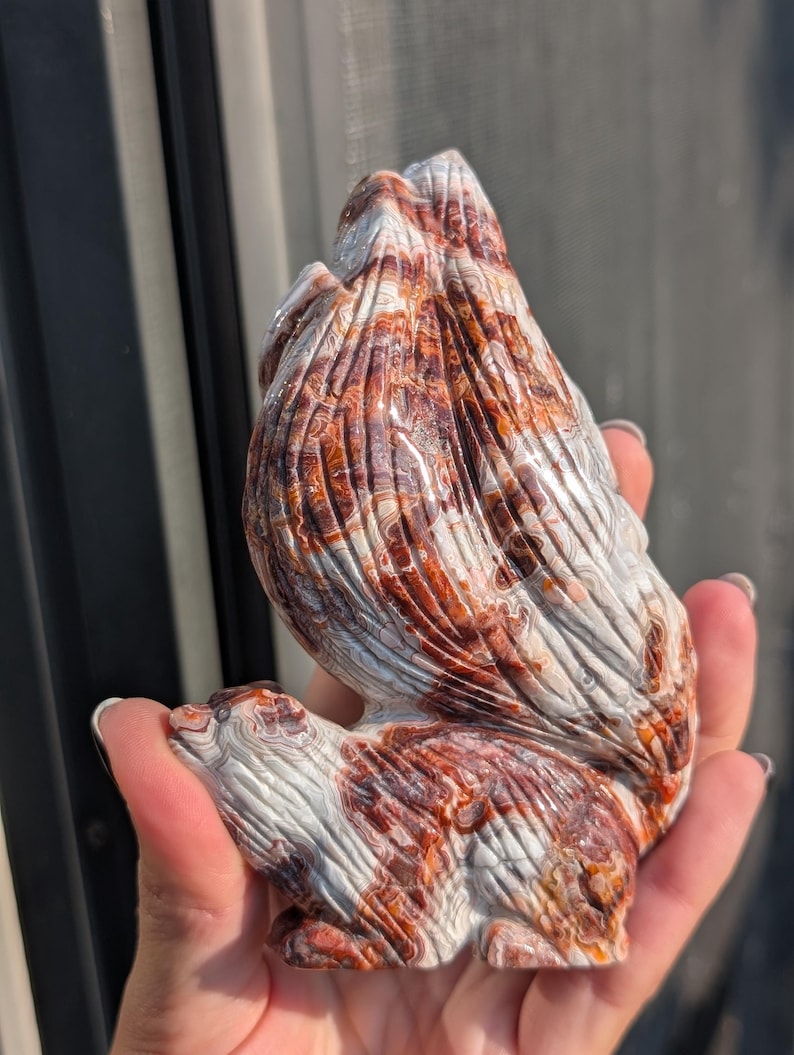 Mexican Crazy Lace Agate Druzy Squirrel | Crystal Animal Carving ...