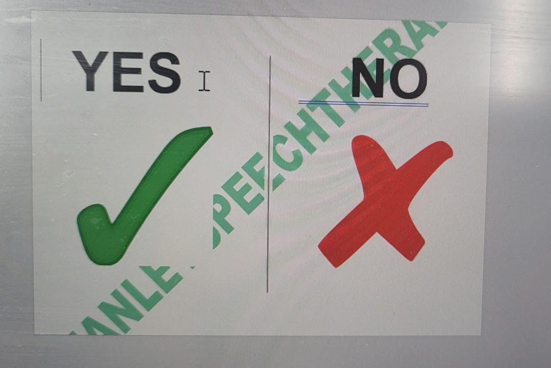 Speech Therapy Resources, Adult/child/aphasia Yes/no Chart - Etsy