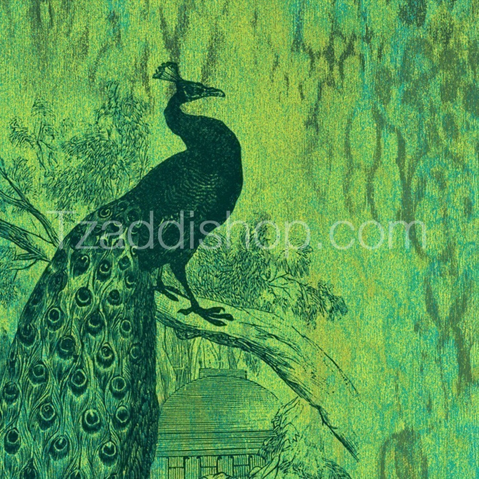 Peacock Wall Hanging Vintage Paris Fashion Glass Wall - Etsy