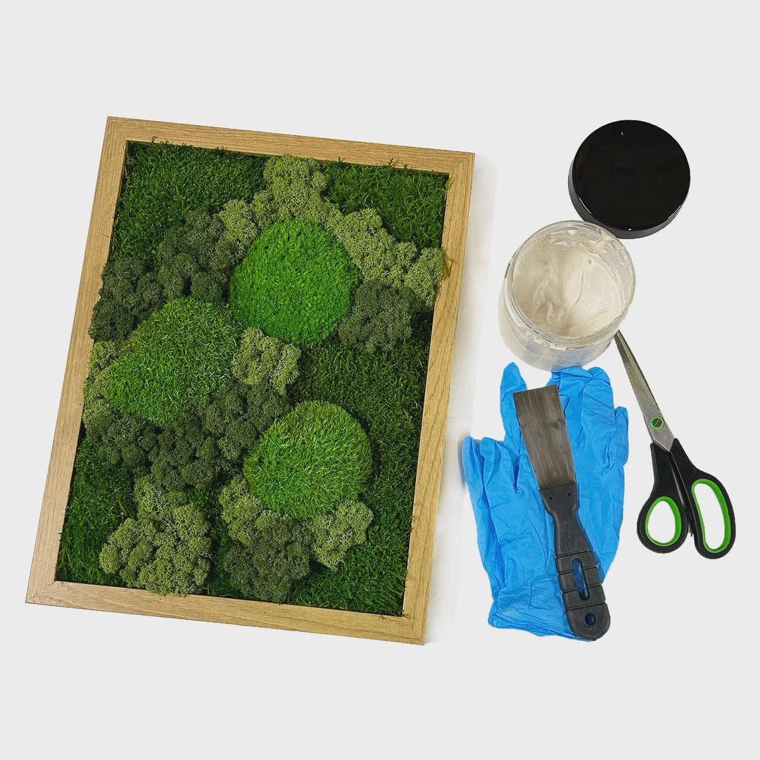DIY Moss Picture Kit - Etsy