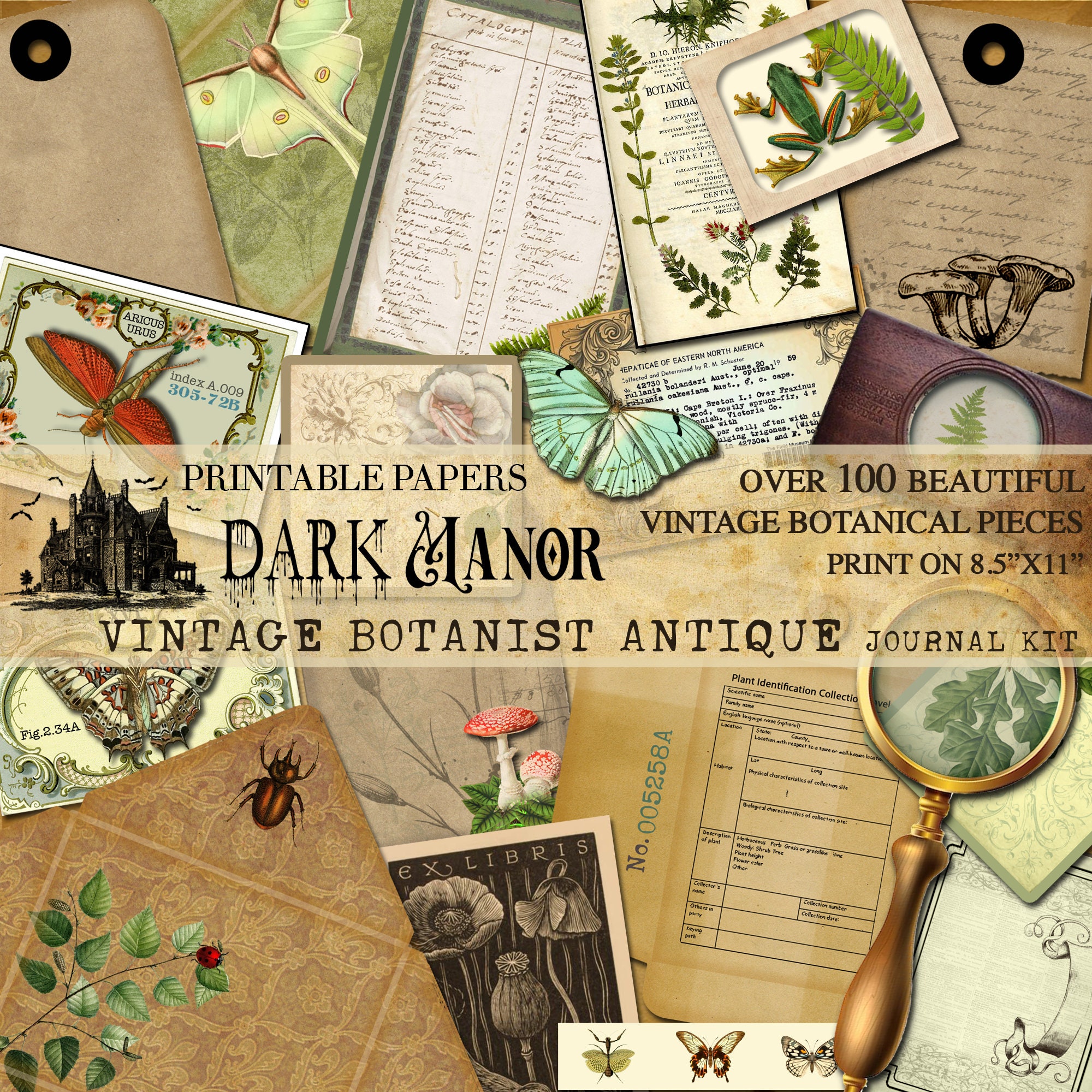 MASSIVE Vintage Botanist Antique Journal Kit Digital Junk - Etsy