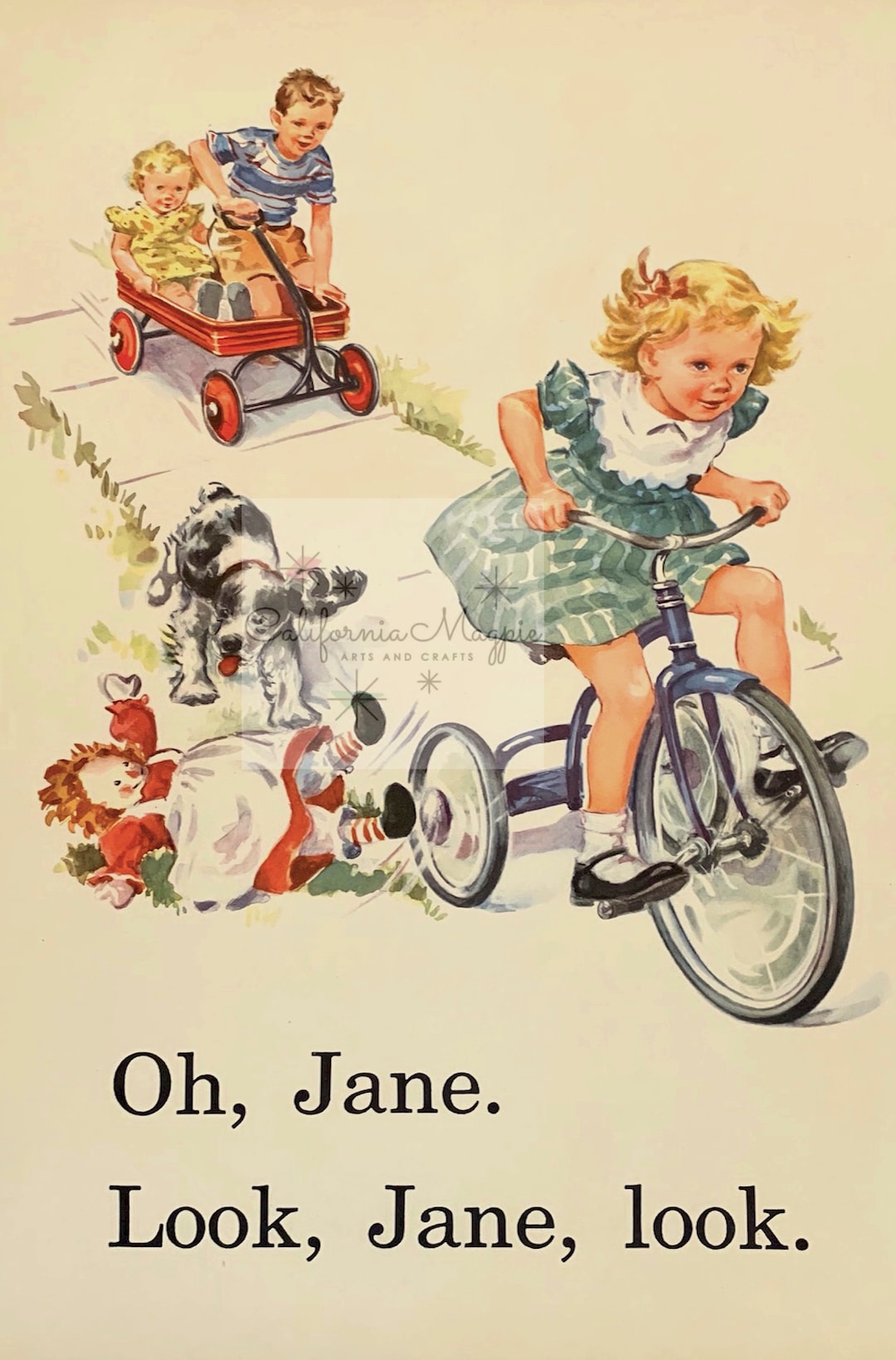 Look Jane From Dick and Jane Books Poster - Etsy