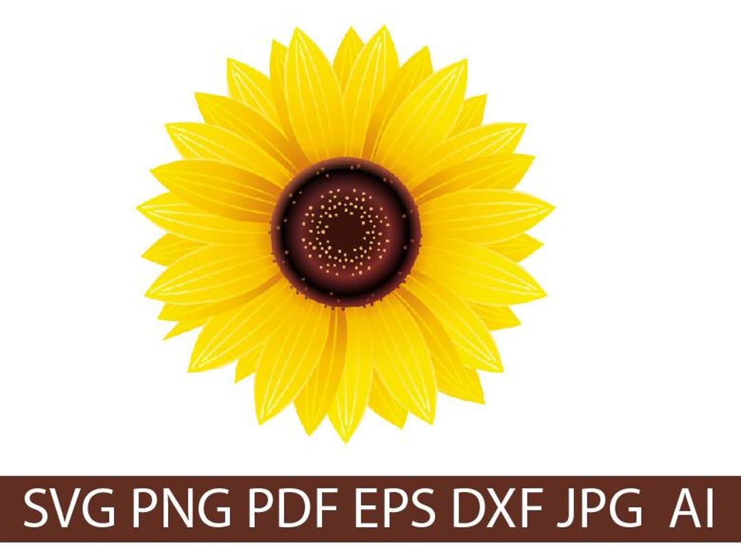 Sunflower SVG Png Jpg Pdf Eps DXF AI, Floral Cut File for Cricut and ...