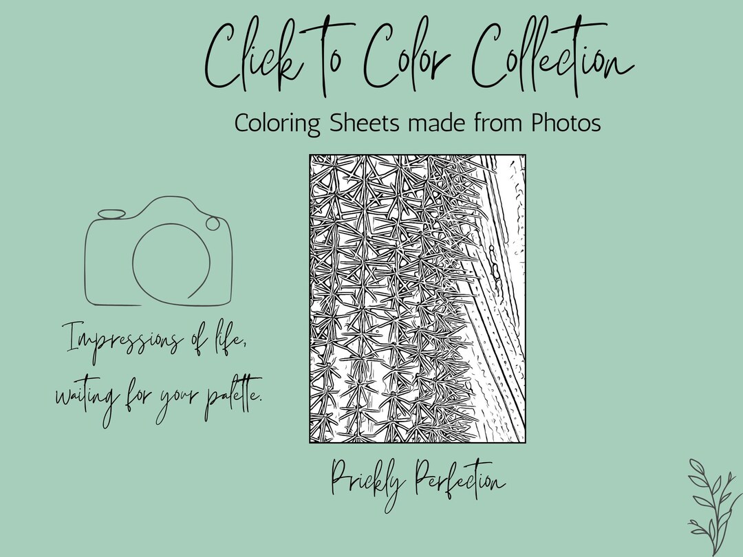 Prickly Perfection Cactus Coloring Sheet - Etsy