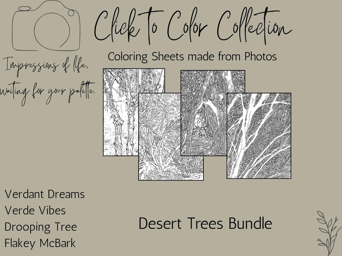 Desert Trees Coloring Sheet Bundle - Etsy