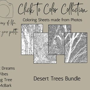 Desert Trees Coloring Sheet Bundle - Etsy