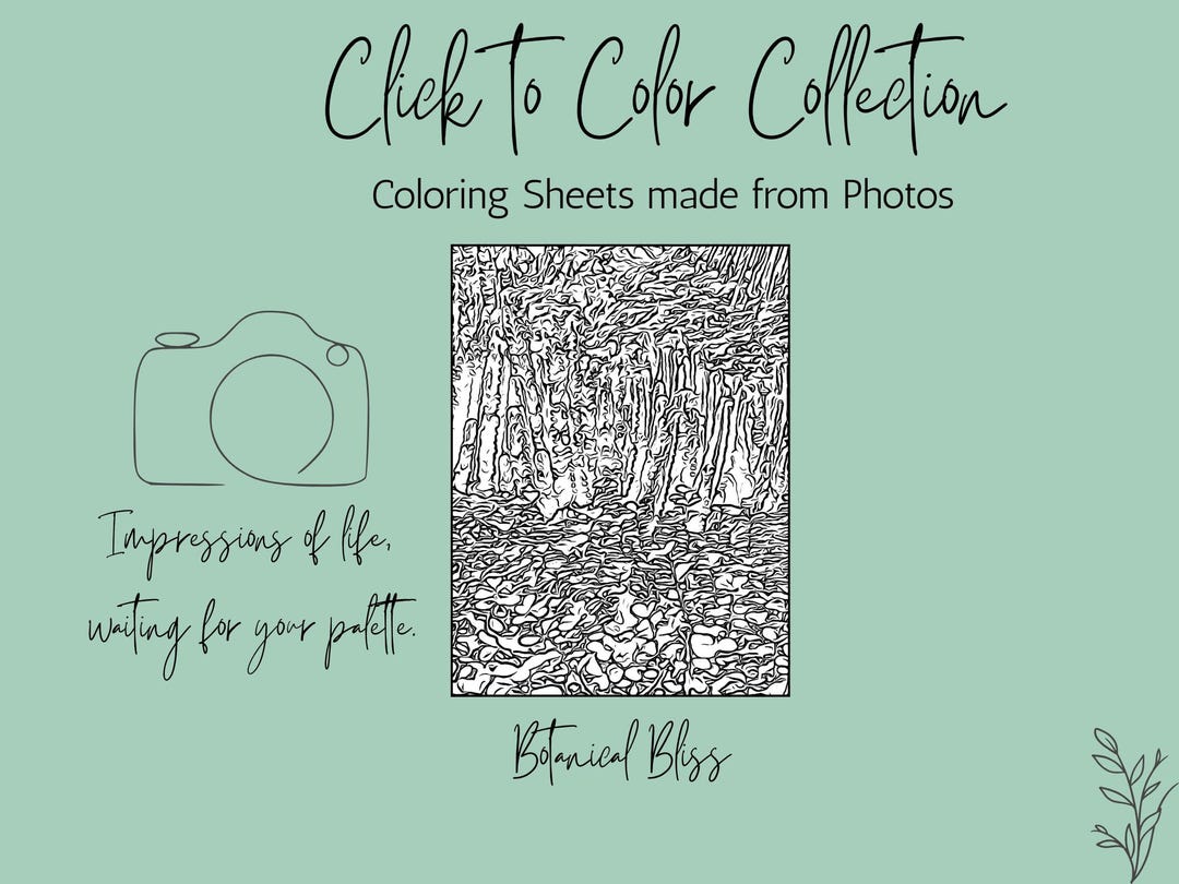 Botanical Bliss Plant Coloring Sheet - Etsy