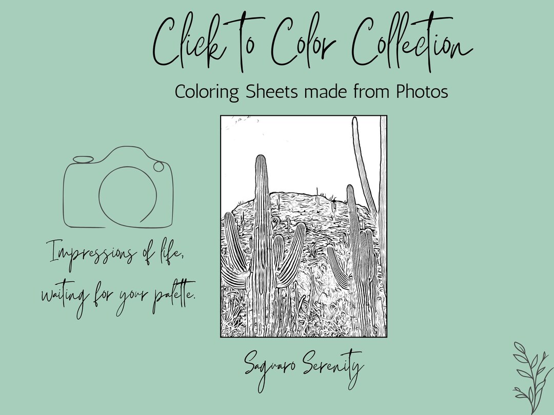 Saguaro Serenity Cactus Coloring Sheet - Etsy