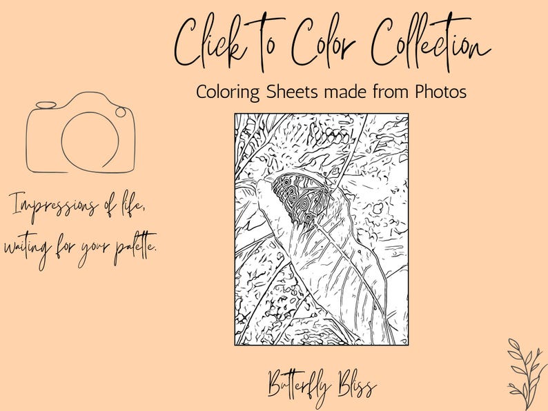 Butterfly Bliss Coloring Sheet - Etsy