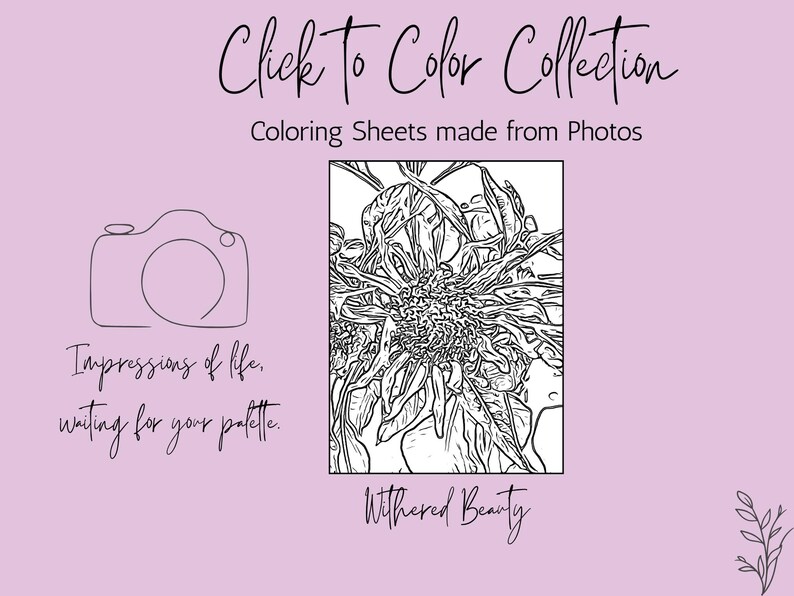 Withered Beauty Flower Coloring Sheet - Etsy