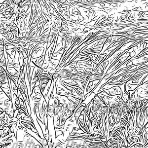 Desert Trees Coloring Sheet Bundle - Etsy