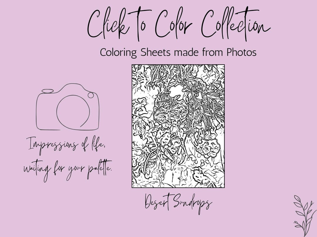 Desert Sundrops Flower Coloring Sheet - Etsy