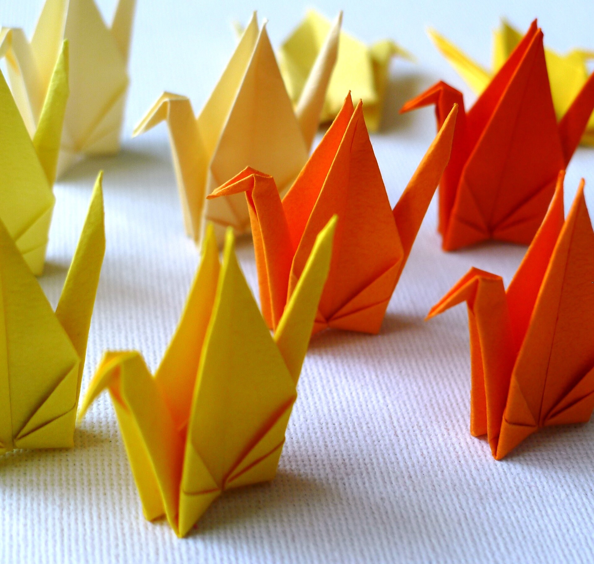 96 Beautiful Gradient Japanese Origami Paper Cranes (3' X 3') - Summer ...