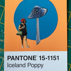 Handmade Pantone Postcard Collage, Iceland Poppy, Toadstool, Orange ...