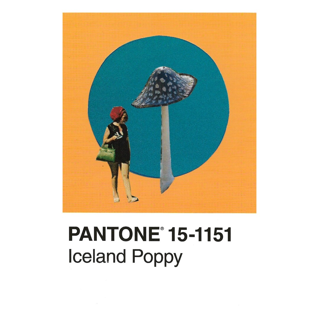 Handmade Pantone Postcard Collage, Iceland Poppy, Toadstool, Orange ...