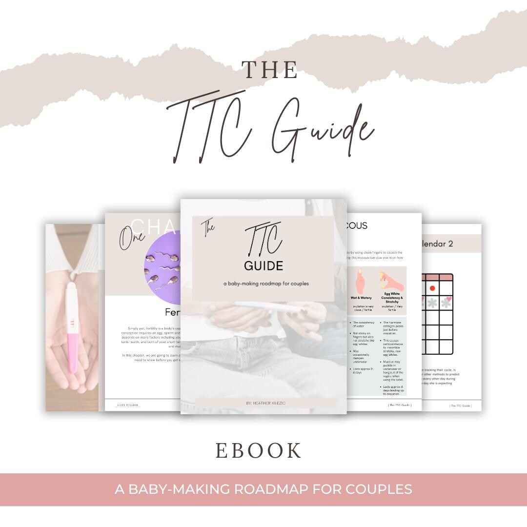 TTC Guide - a Baby-making Roadmap for Couples | 116-page Trying to ...