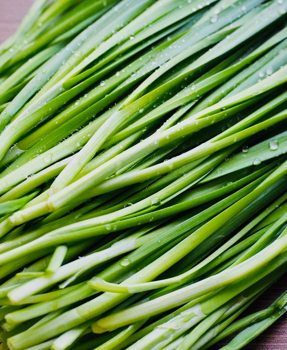 20 Bare Root Garlic Chive Plants(韭菜) Chinese Garlic Chives, Herbs ...