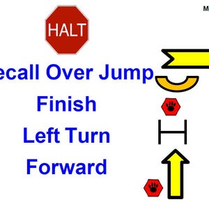 Digital Download of AKC Rally Signs - ALL Levels - With Instructions on ...