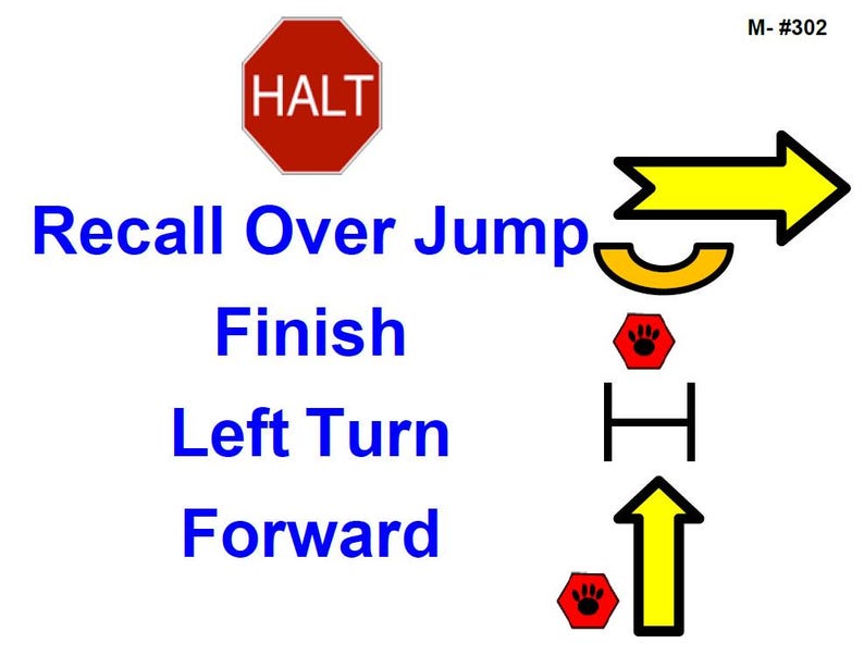 Digital Download of AKC Rally Signs - ALL Levels - With Instructions on ...