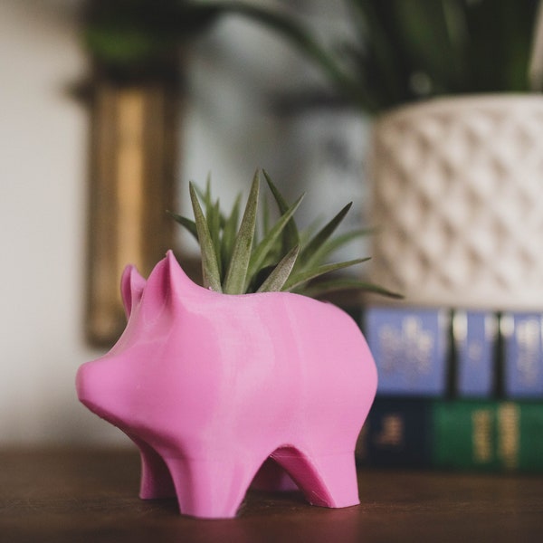 Pig Planter - Etsy