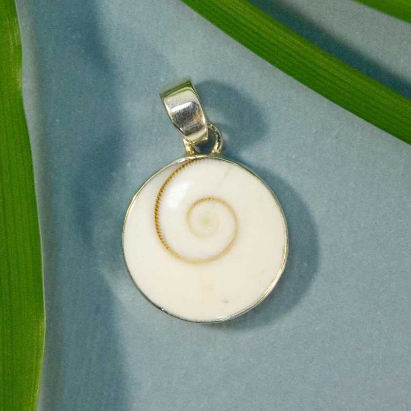 Shiva Shell Pendant Round - Etsy
