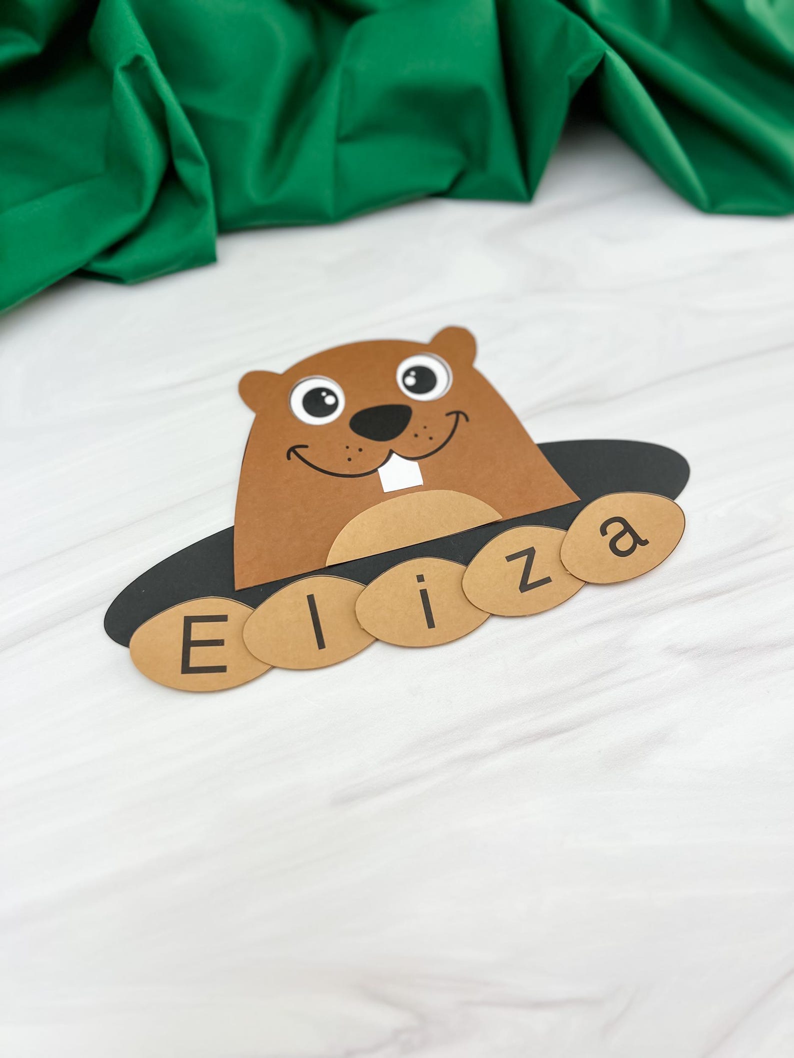 Groundhog Name Template | Early Learner Craft | February Kids Activity ...