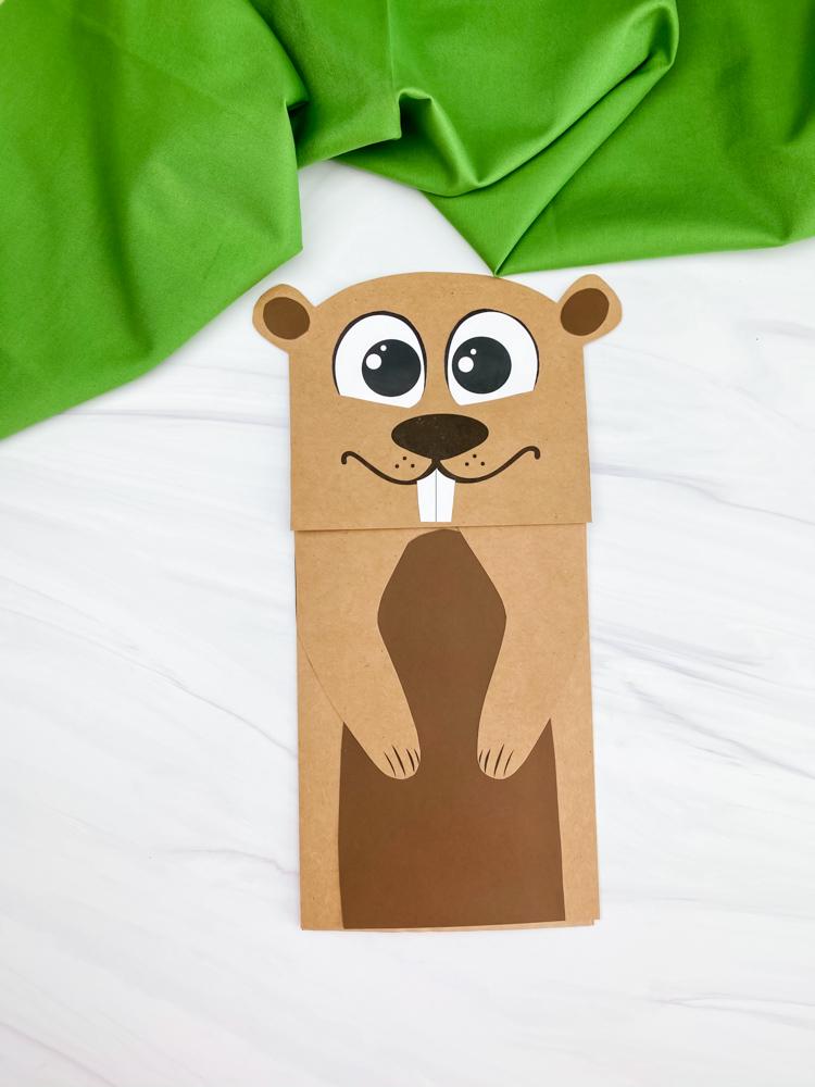 Groundhog Paper Bag Puppet Craft Template | DIY Puppet Project ...