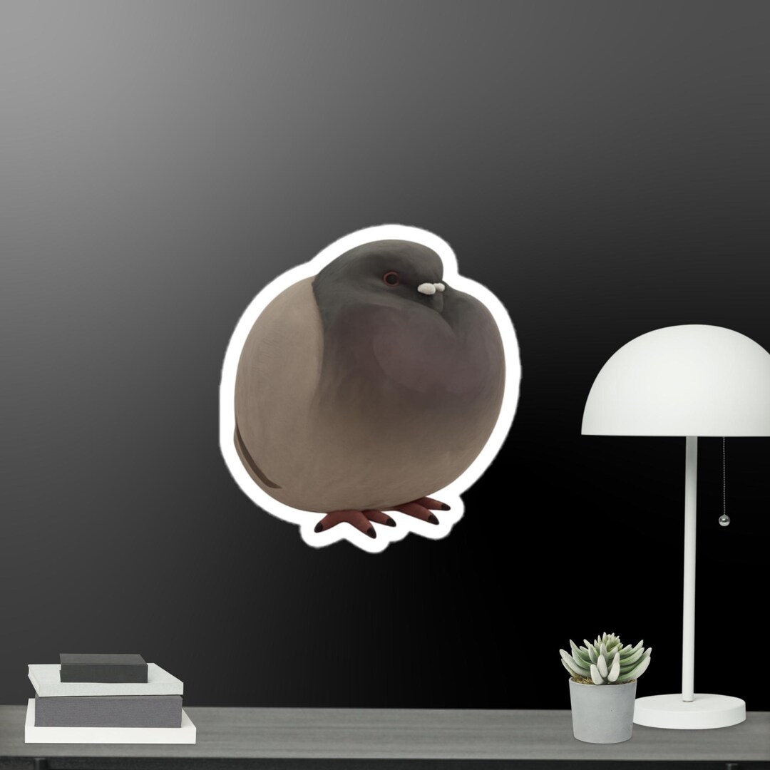 Cute Pigeon Sticker – Funny Bird Meme Vinyl Decal, Chubby Animal Laptop ...