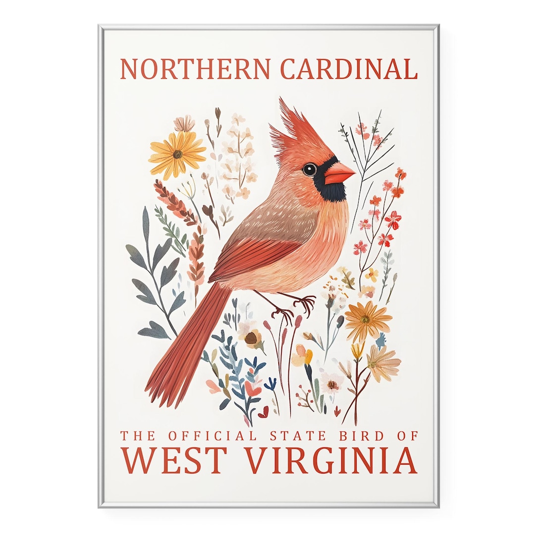 West Virginia State Bird Print Northern Cardinal Wall Art, Vintage ...