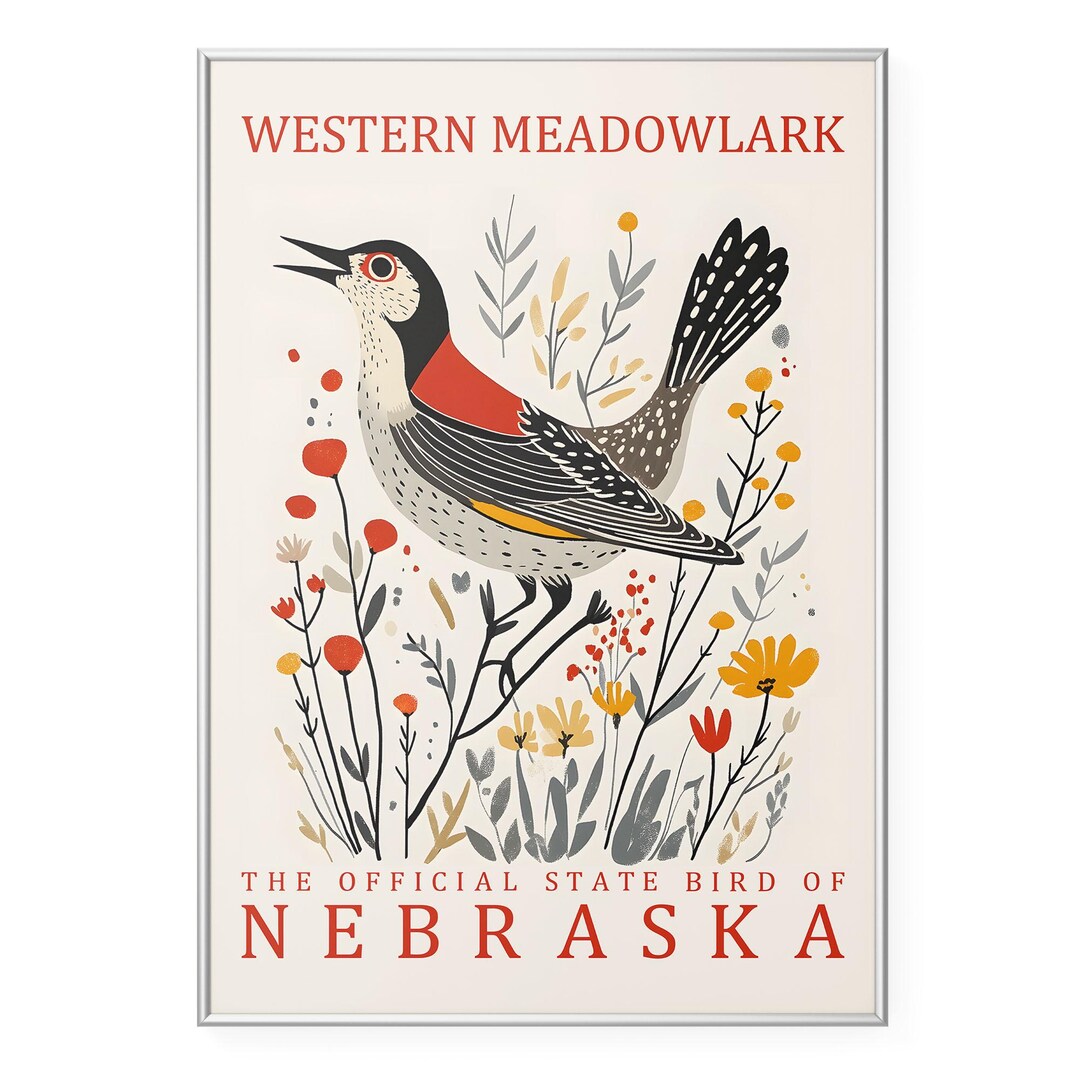 Nebraska State Bird Print Western Meadowlark Wall Art, Vintage ...