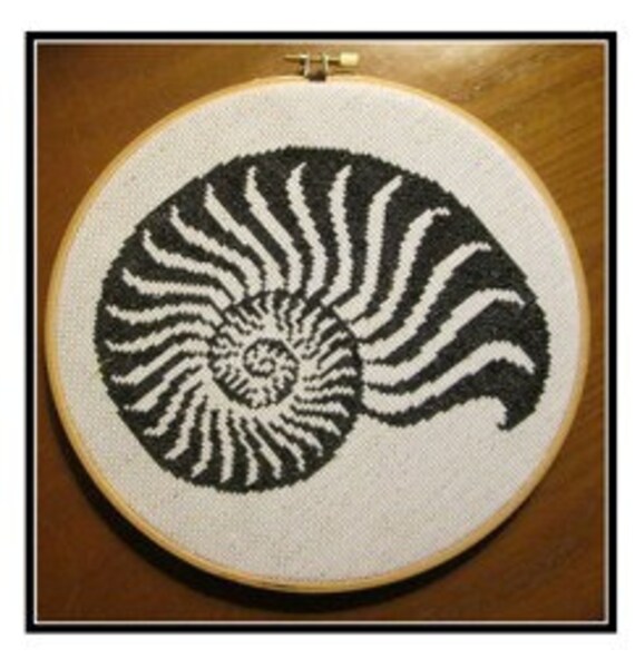 Kappa Delta Nautilus Shell