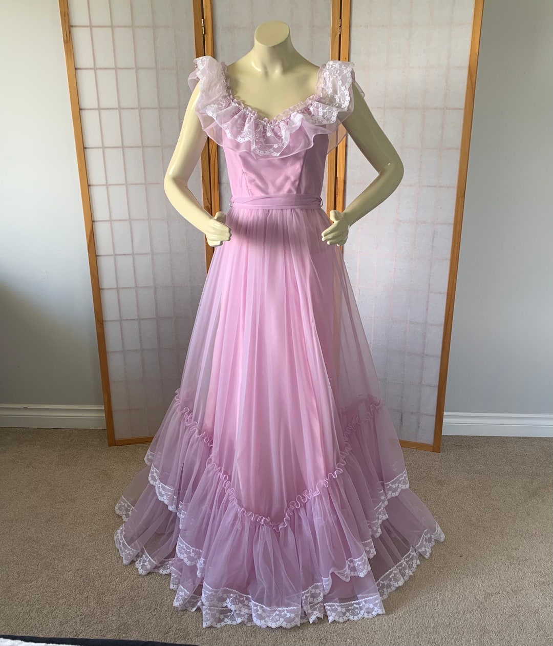 1980s Cinderella Chiffon Formal Party Floor Length Dress Gown . Vintage ...