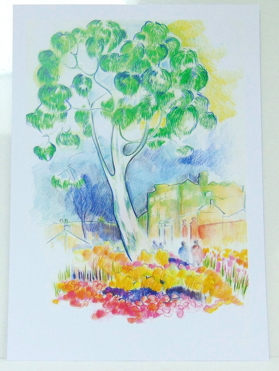 Eucalyptus Tree Lloyd Park E17, A4 Print From a Coloured Pencil Drawing ...