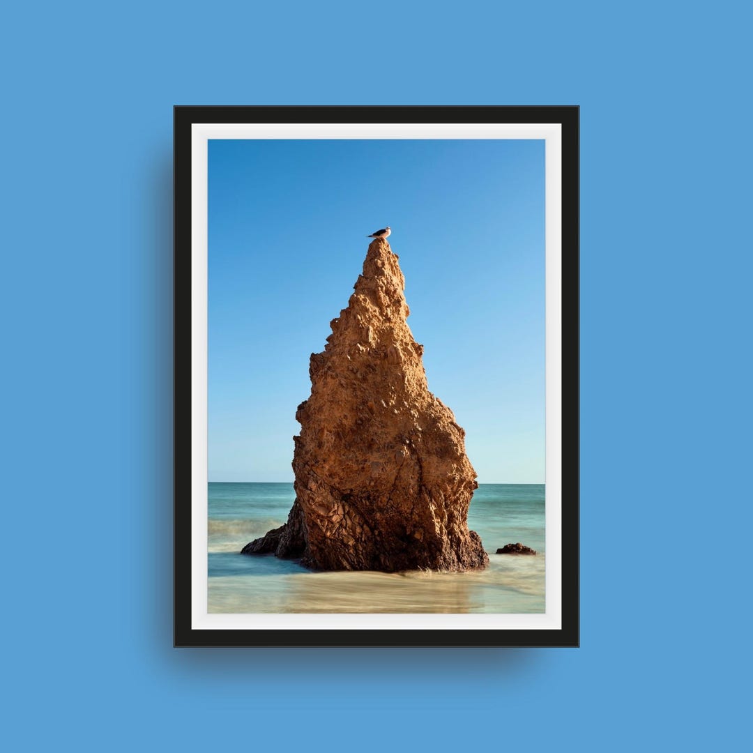 Malibu Beach Rock Print – Coastal Seagull Photography, Ocean Wall Art ...