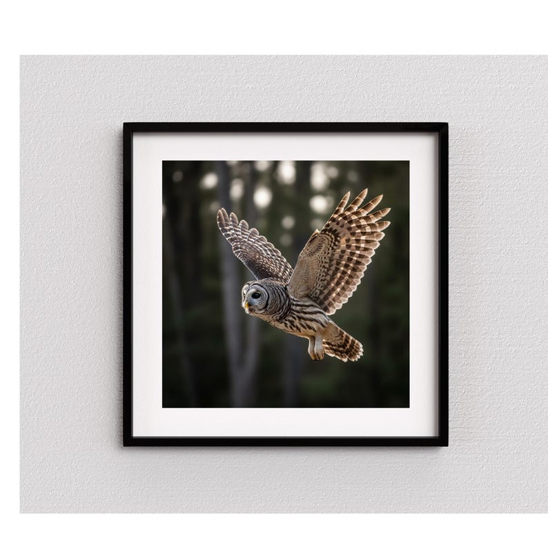 Barred Owl in Flight Wildlife Poster - Etsy