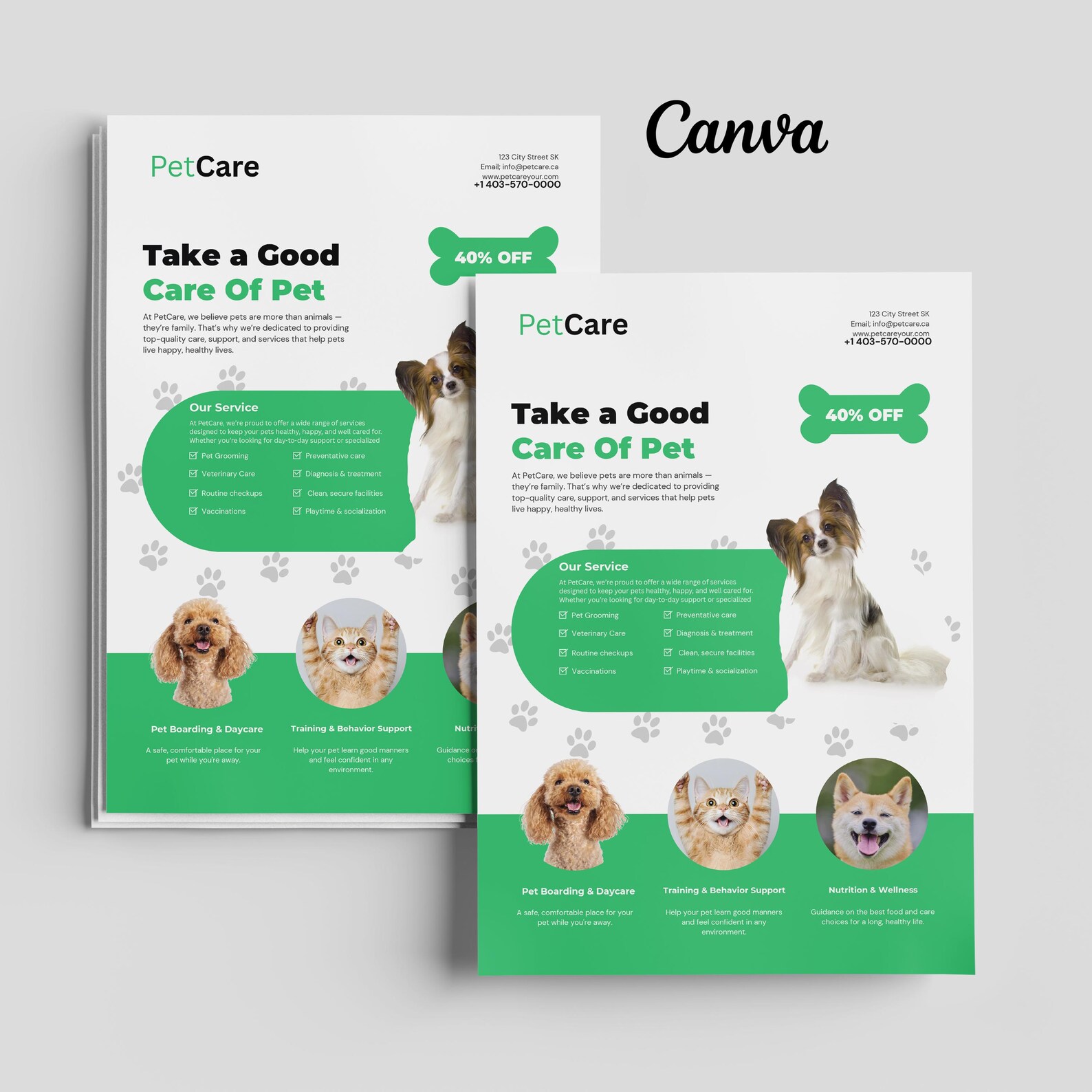 Pet Care Flyer Template: Veterinary Clinic & Grooming Ad (A4 Editable ...