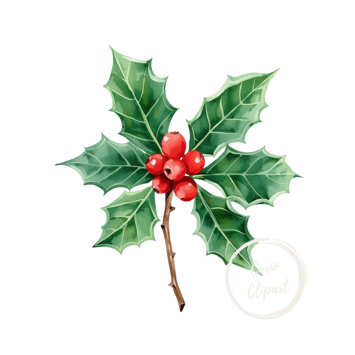 Holly 12 Clipart Bundle, High-resolution PNG Illustration, Transparent ...