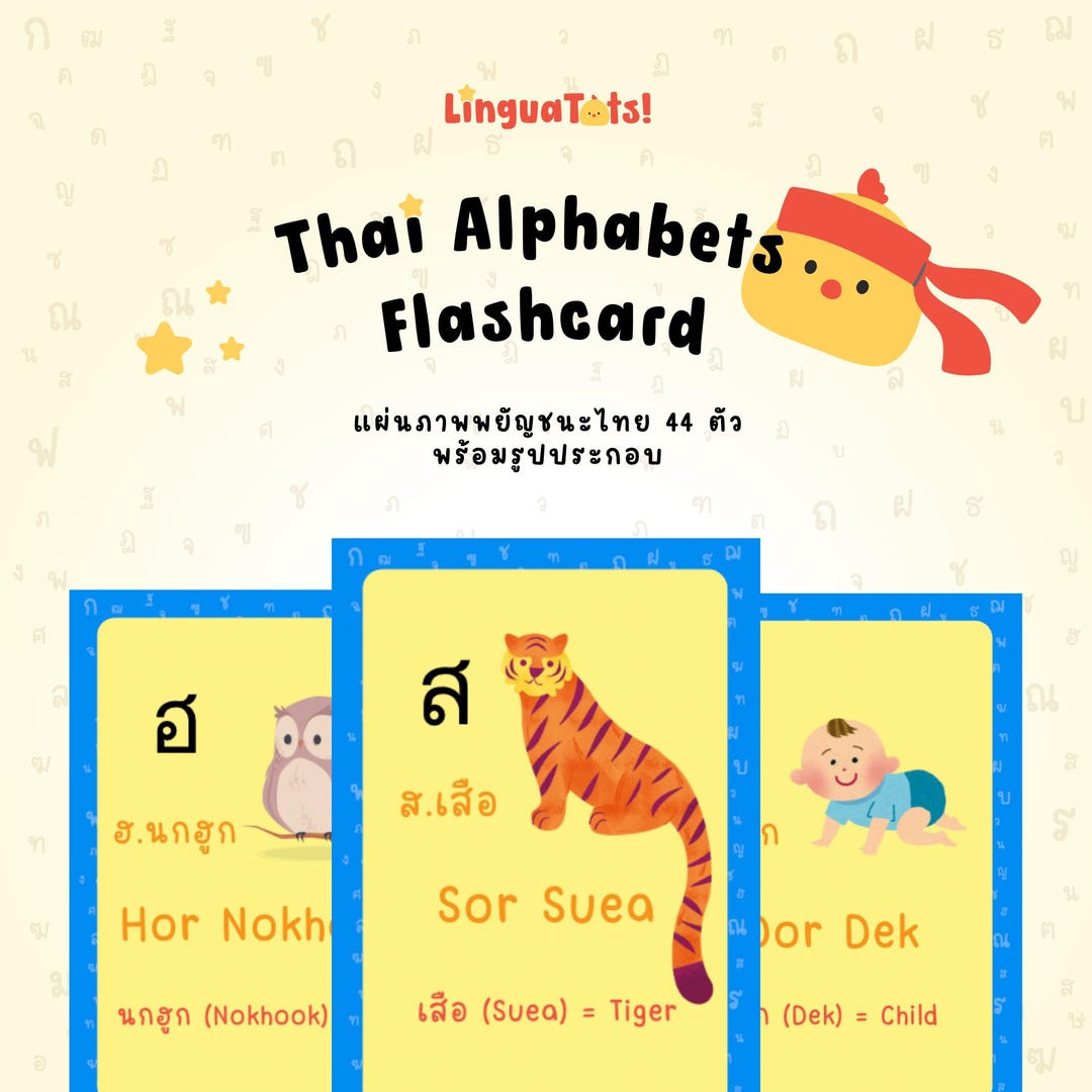Thai Alphabet Flashcard - Etsy