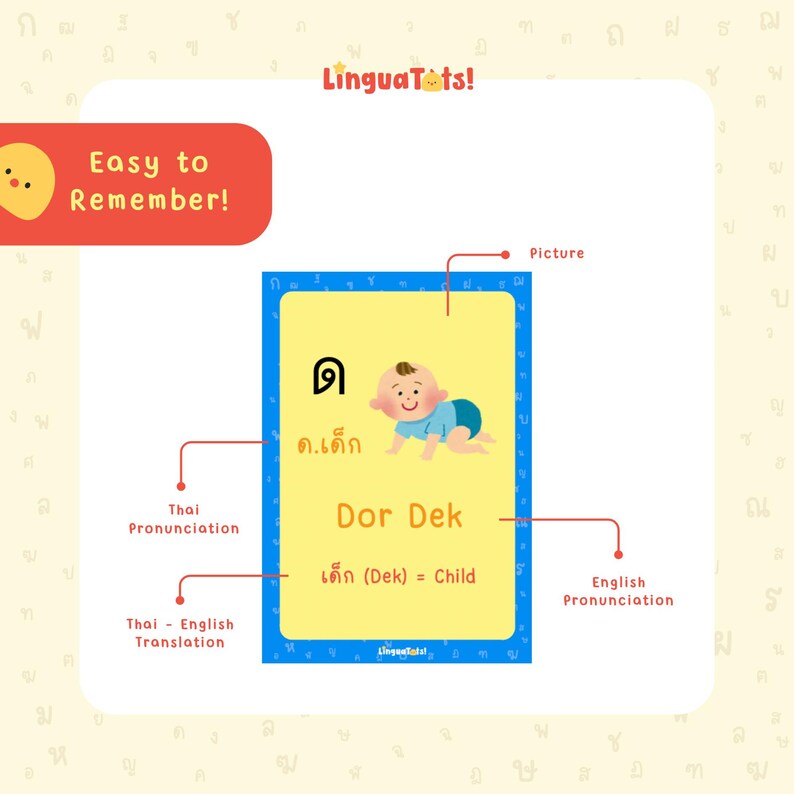 Thai Alphabet Flashcard - Etsy