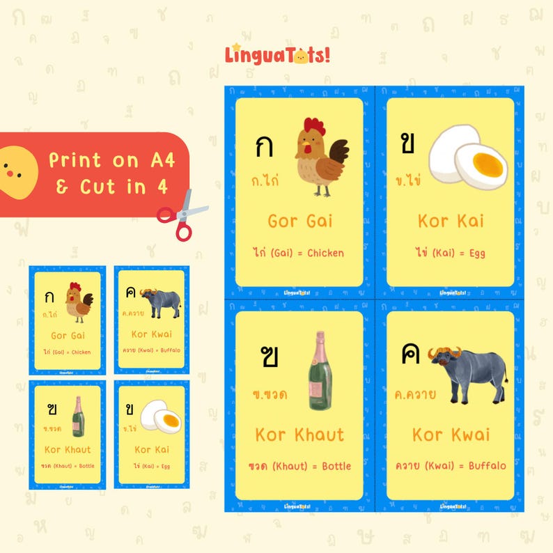 Thai Alphabet Flashcard - Etsy