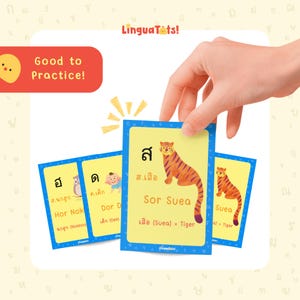 Thai Alphabet Flashcard - Etsy